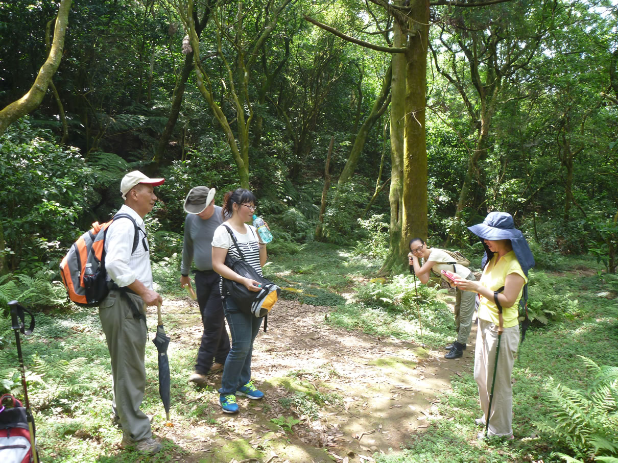 140828內寮登竹篙山南峰走瑪礁古道陸路出清風亭 拜訪平等里三條古圳 P1470207